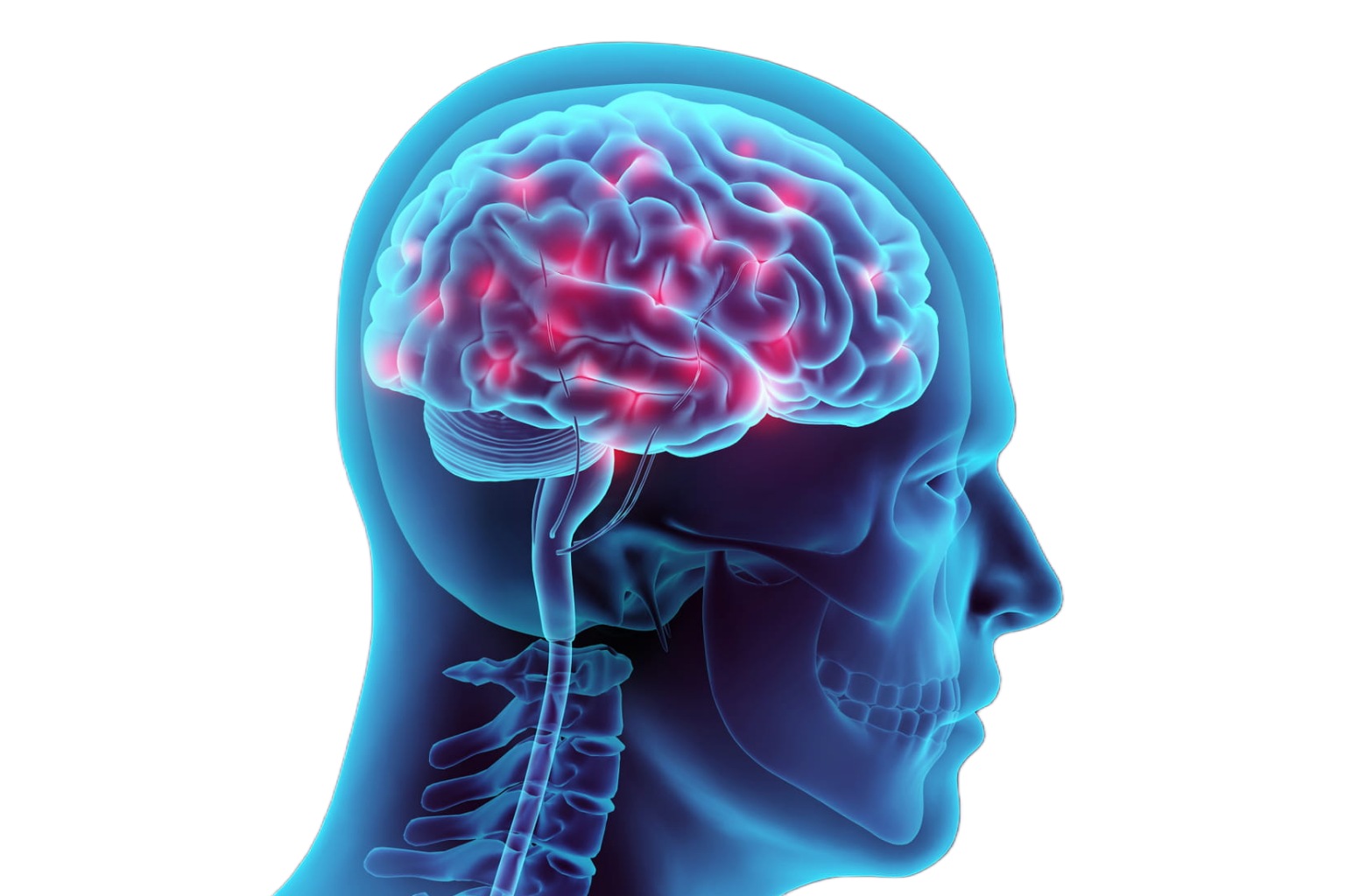 Les affections du système nerveux